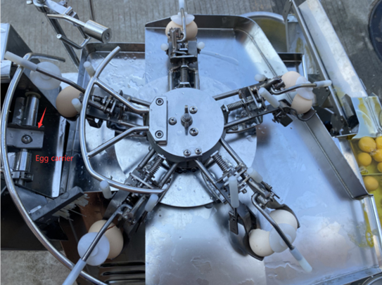 Machine à casser et à séparer les œufs | Traitement des œufs